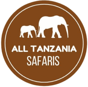 What Language Is Spoken in Zanzibar? Swahili & English Guide