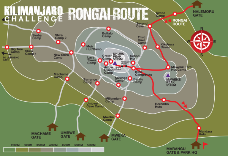 Rongai route: 100% Best Rout to Climb Mt Kilimanjaro